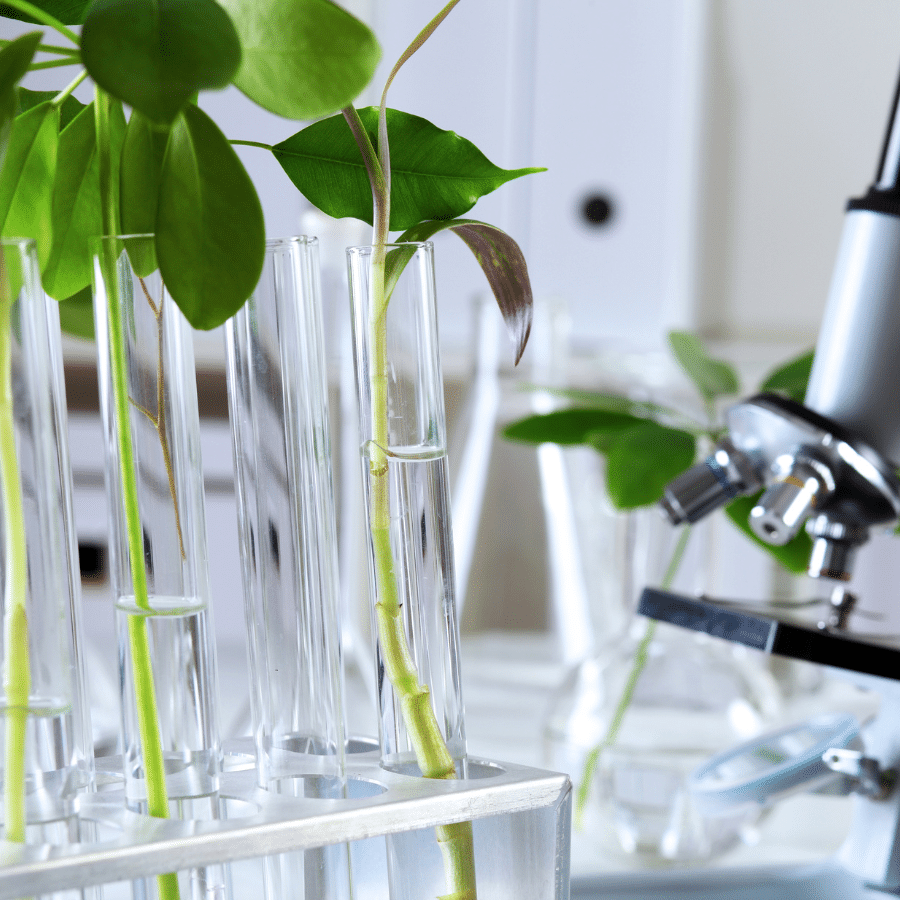 GCSE Science Tutor | Prominent Education